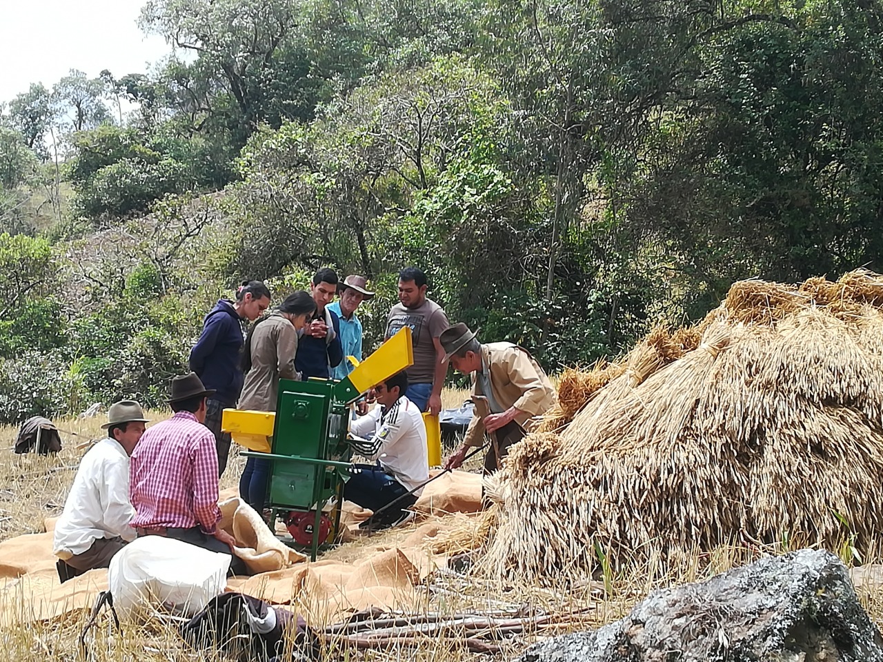 Recovering Traditional Cultivation for Food Sovereignty - One Planet